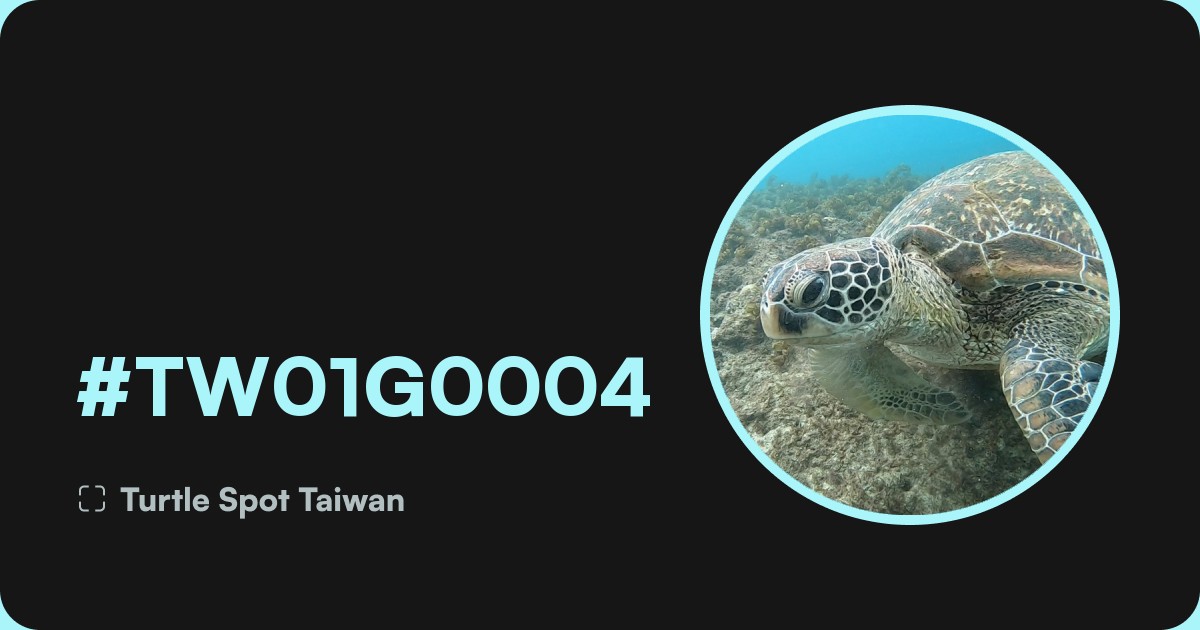 TW01G0004｜TurtleSpot Taiwan